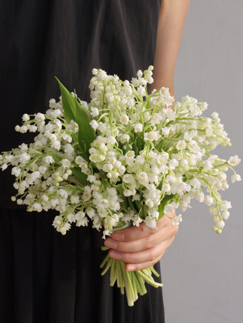 Wedding and Bridal Flower | ROM Bouquet in Singapore – White Dew Flower