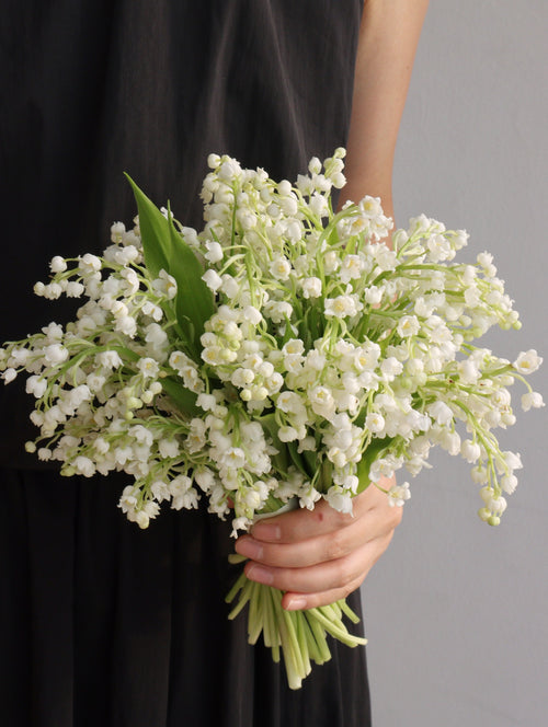 Wedding and Bridal Flower | ROM Bouquet in Singapore – White Dew Flower